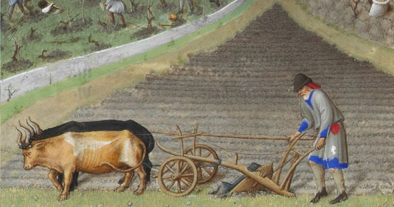 From Manors to Markets: The Economic Role of Agriculture in Medieval ...